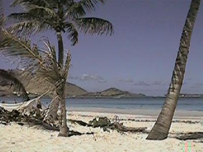 St. Martin - Trip Report: 2/20-3/6, 1999